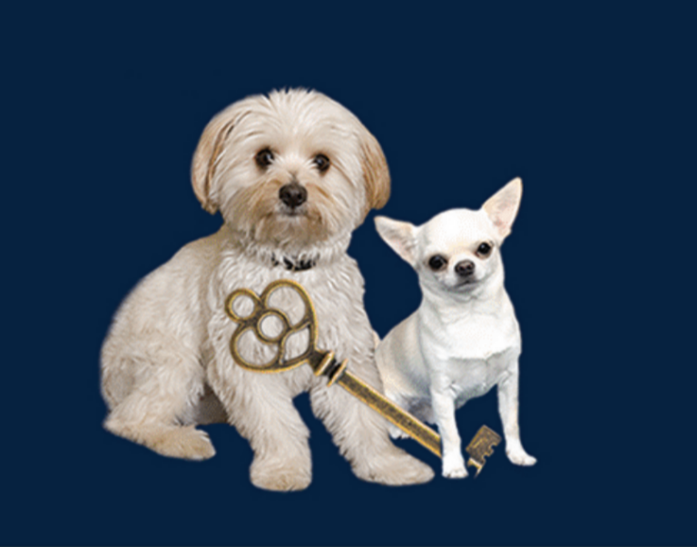 Home - The Barbara Wilson Team